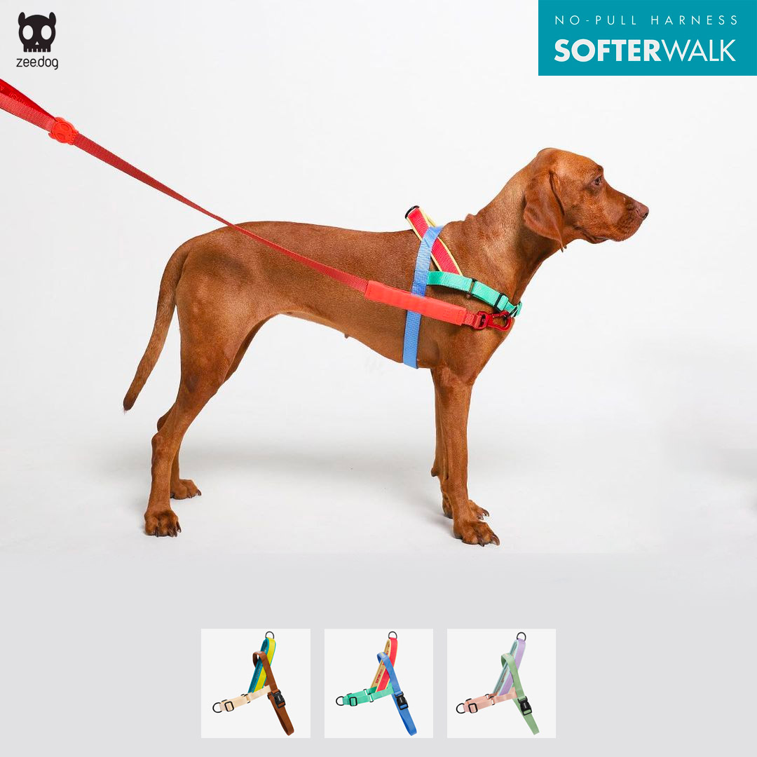 Dog Strap New Arrivals Dog Strap New Arrivals