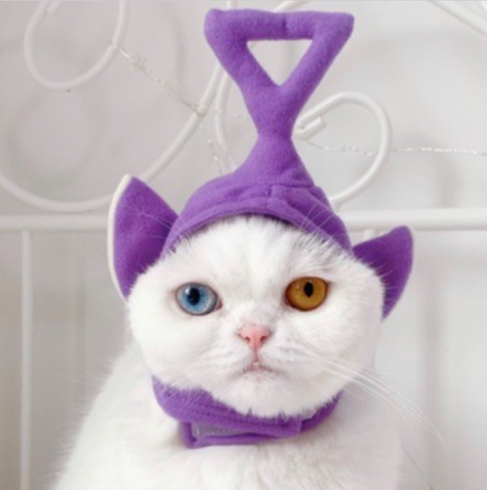 (Pre-order 2-3 day) purrpet teletubbies hat